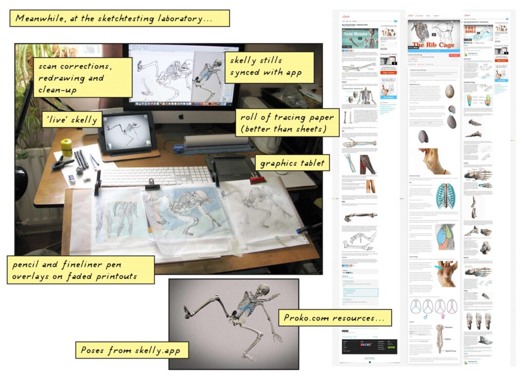 Proko challenge – cartoon anatomy | sketchtesting